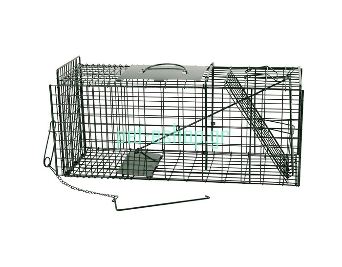 ΠΑΓΙΔΑ ΓΑΤΑΣ - Pet e-shop